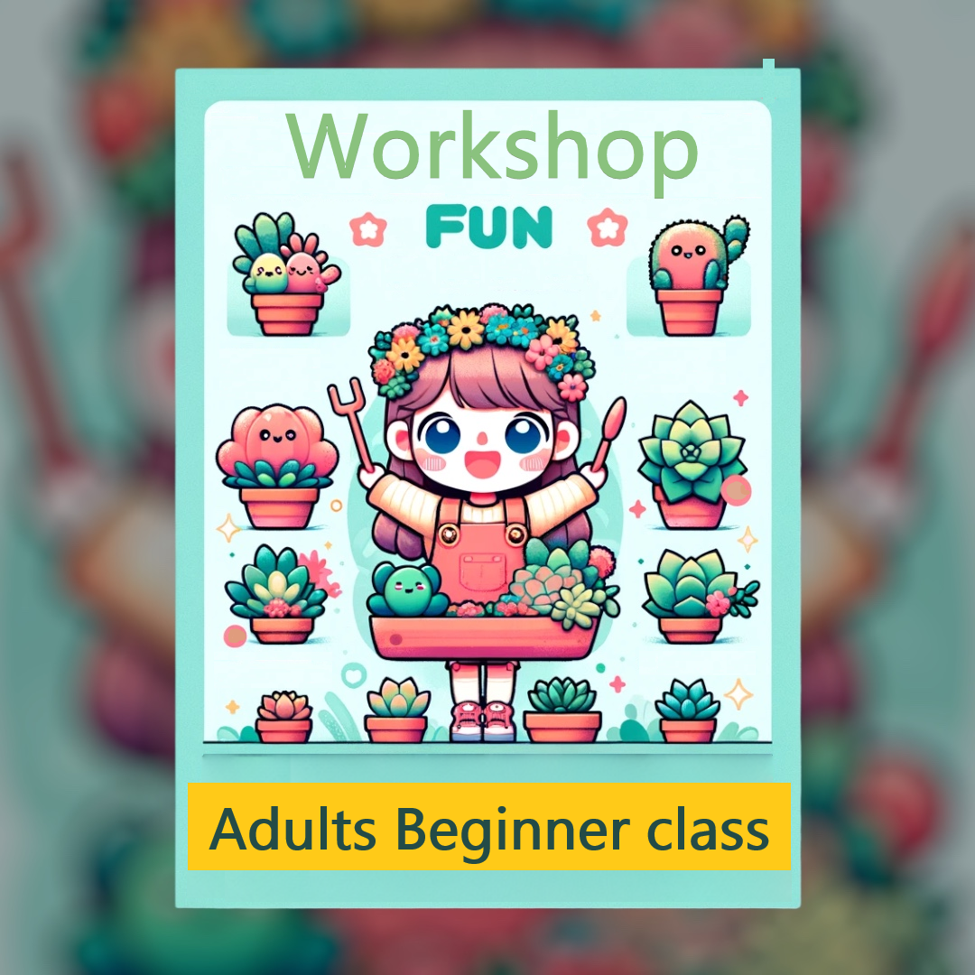 Workshop: Beginner Classes